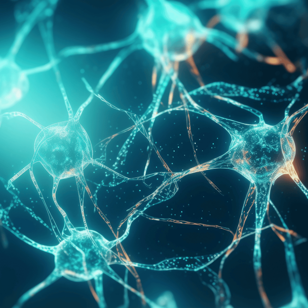 FibroMed® - Nährstoffe für starke Nerven & Muskeln